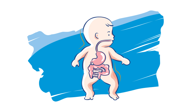 Baby’s digestive system explained | Friso