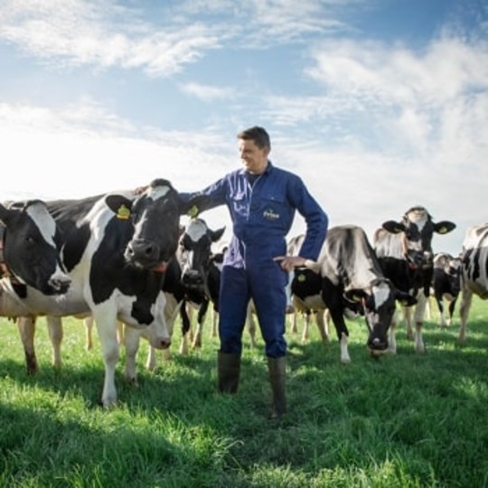 Friso® NOVAS™ Signature Milk - High Quality Formula Milk | Friso