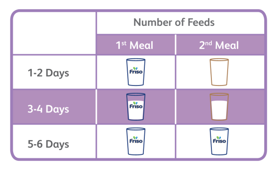 Friso Gold 4 | Friso