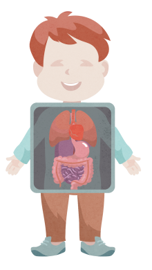 Stomach Size and Feeding Portions - Get to know your Child’s Tummy | Friso